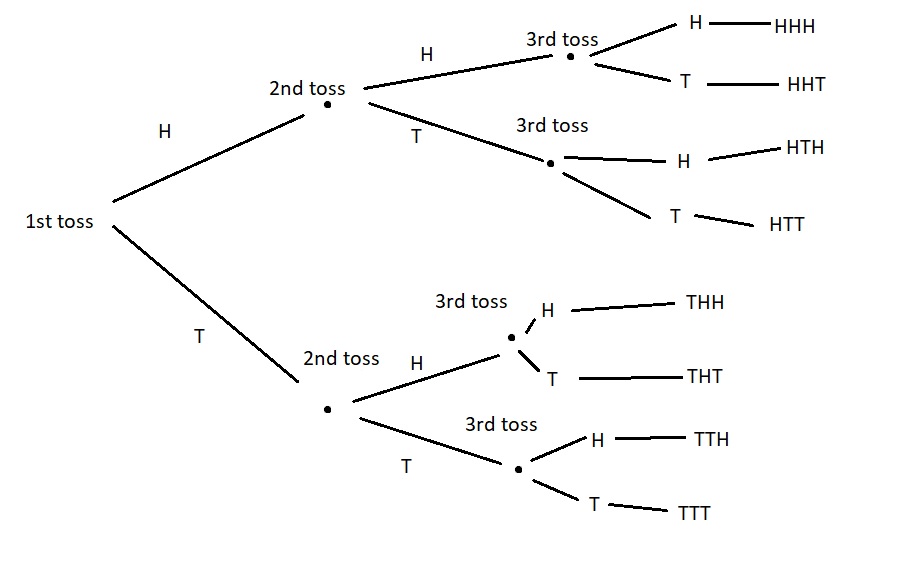 Coin Toss Tree Diagram Generator Diagram Tree Tossing Coins